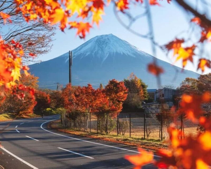 Tokyo: Mt Fuji One-Day Private & Customizable Tour - An Authentic and Well-Organized Day Trip