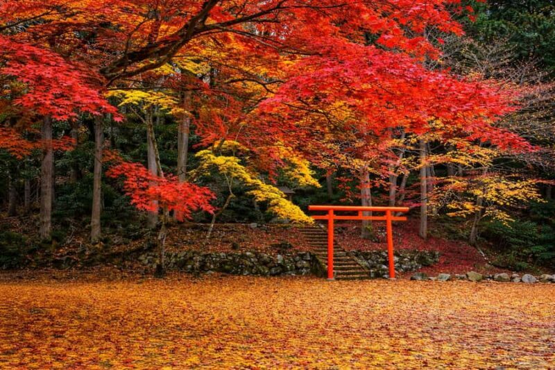 Tokyo: Mt Fuji One-Day Private & Customizable Tour - What Travelers Say