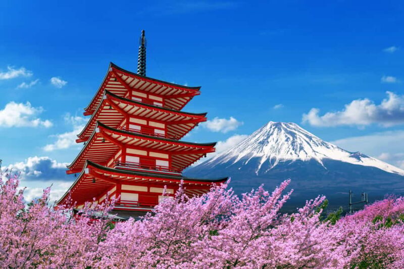 Tokyo: Mt Fuji One-Day Private Tour of top sights - What to Expect from the Tour