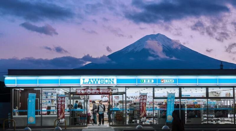 Tokyo: Mt Fuji One-Day Private Tour of top sights - Who Is This Tour Best For?