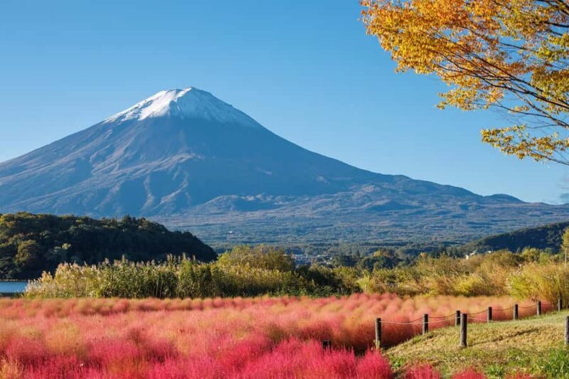 Tokyo: Mt Fuji & Oshino Hakkai & Lake Kawaguchi & Oishi Park - The True Value of the Tour