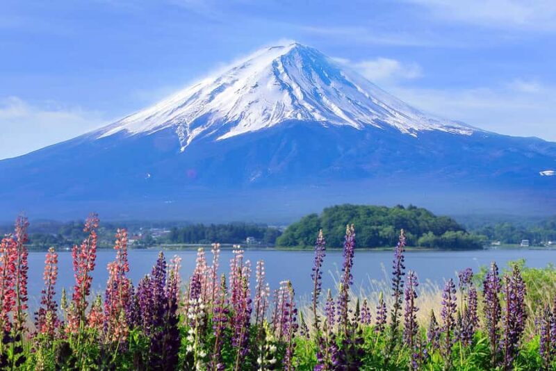 Tokyo: Mt Fuji & Oshino Hakkai & Lake Kawaguchi & Oishi Park - FAQs