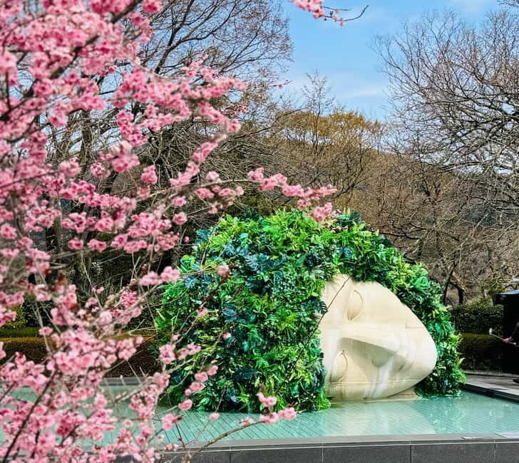 Tokyo: Mt. Fuji, Owakudani, Hakone Shrine, & Open-Air Museum - Starting Out: Comfort & Convenience in Transport