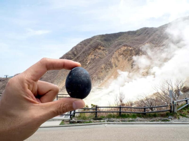 Tokyo: Mt. Fuji, Owakudani, Hakone Shrine, & Open-Air Museum - Art at the Hakone Open-Air Museum