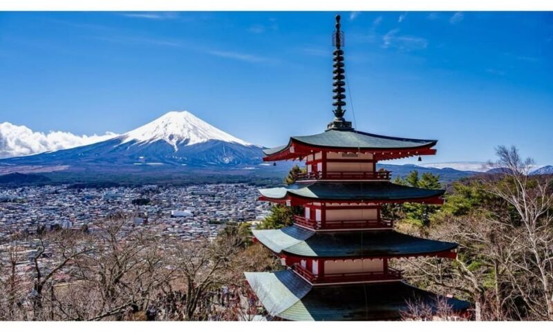 Tokyo: Mt Fuji Private Day Tour with English-speaking Driver - Exploring the Mt. Fuji Private Day Tour from Tokyo: An Honest Look