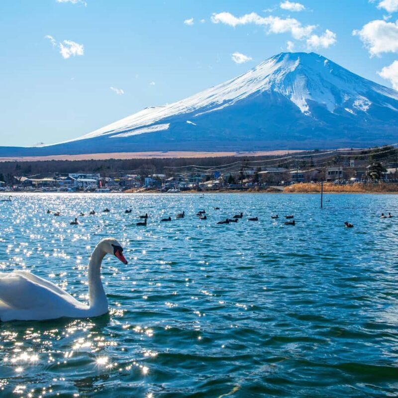 Tokyo: Mt. Fuji Private Fully Customised Tour In Prado - Key Points