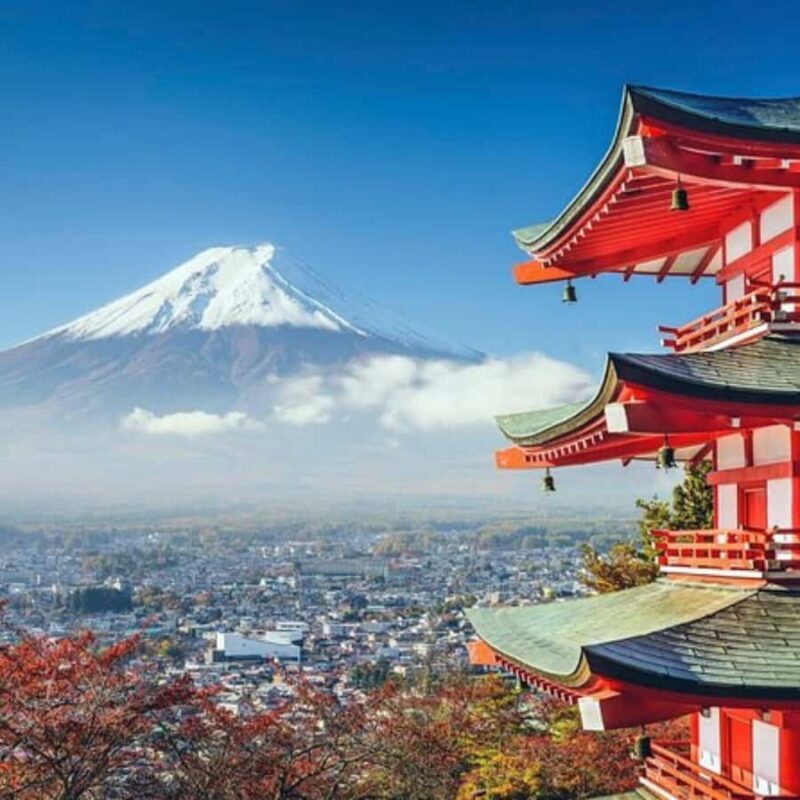 Tokyo: Mt Fuji Private Tour Customizable By English Driver - Key Points