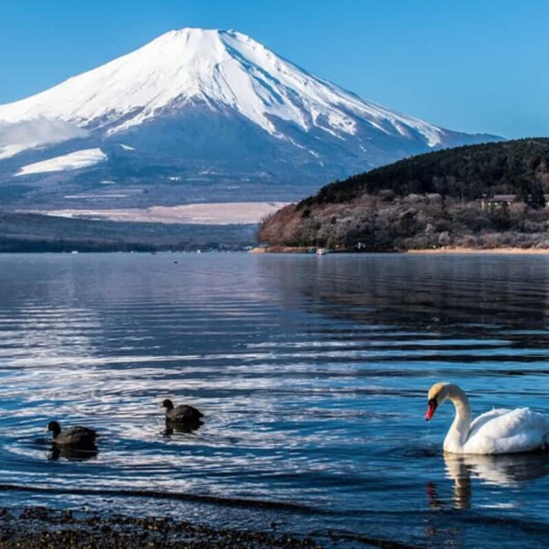 Tokyo: Mt Fuji Private Tour Customizable By English Driver - Frequently Asked Questions