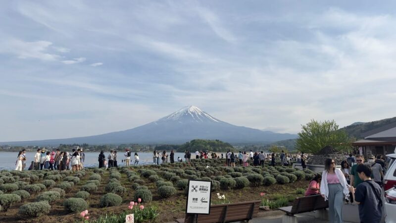 Tokyo: Mt. Fuji Private Tour with Kawaguchi lake - Key Points