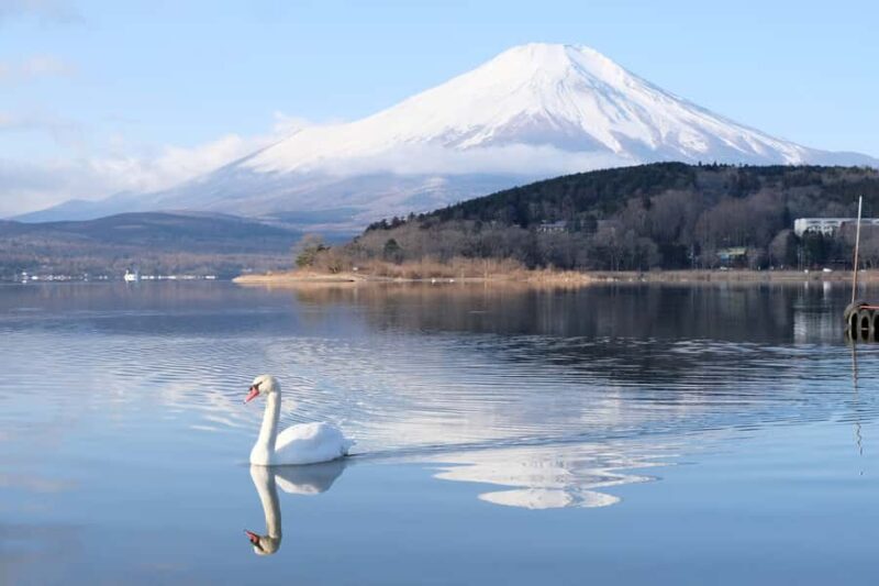 Tokyo: Mt Fuji Signature 6 Scenic Spots Tour & Lake Yamanaka - Who Should Consider This Tour?