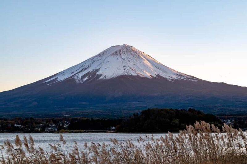 Tokyo: Mt. Fuji View with Fujiten Snow Fun & Oishi Park Tour - Key Points