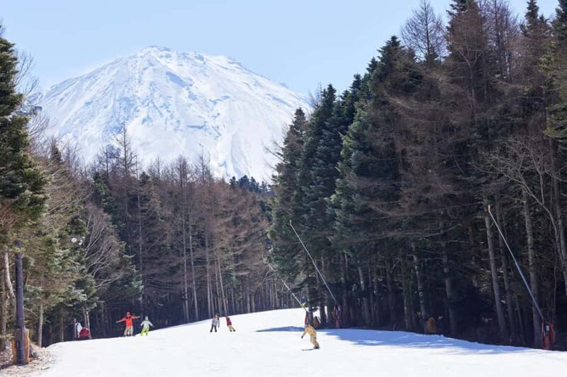 Tokyo: Mt. Fuji View with Fujiten Snow Fun & Oishi Park Tour - Practical Tips for the Day