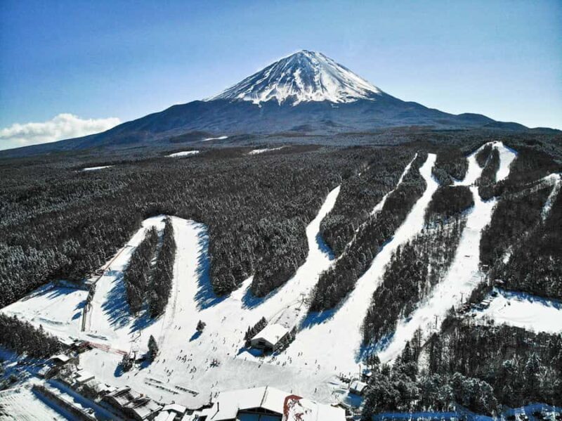 Tokyo: Mt. Fuji View with Fujiten Snow Fun & Oishi Park Tour - Our Final Take
