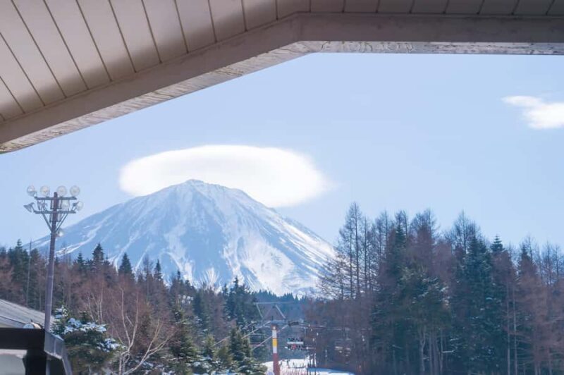 Tokyo: Mt. Fuji View with Fujiten Snow Fun & Oishi Park Tour - FAQs