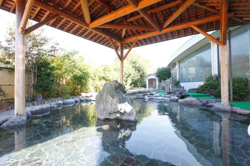 Tokyo: Mt. Fuji Yeti Ski, Hot Spring & Fruit Picking Tour - An Honest Look at the Experience