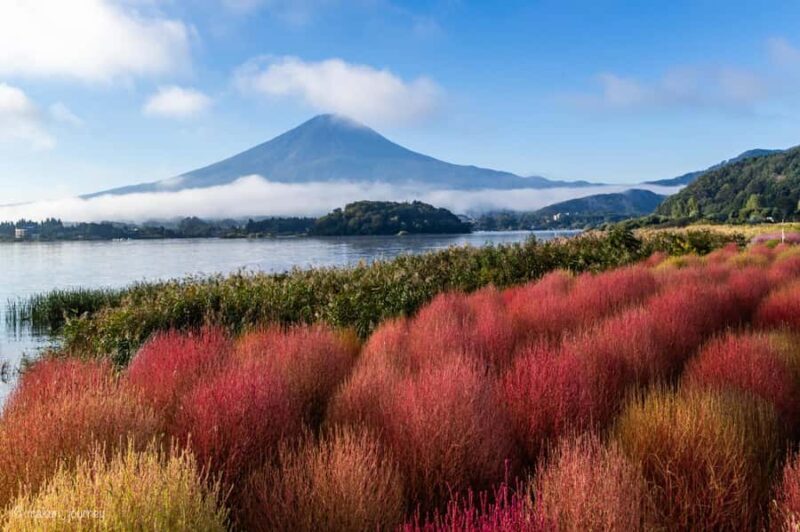 Tokyo, Mt. Fuji & Yokohama: 5-Day Highlights Tour - What Makes This Tour Stand Out?
