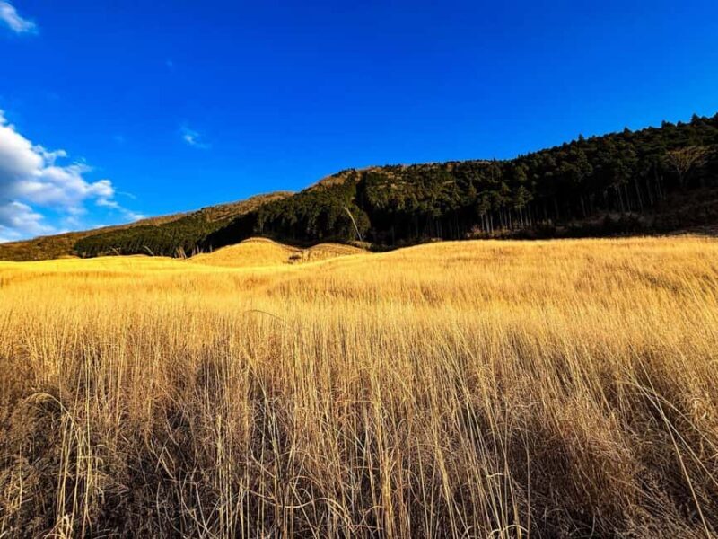 Tokyo: Mt. Fuji&HakoneDayTrip LakeKawaguchi,Kimono&Owakudani - Key Points