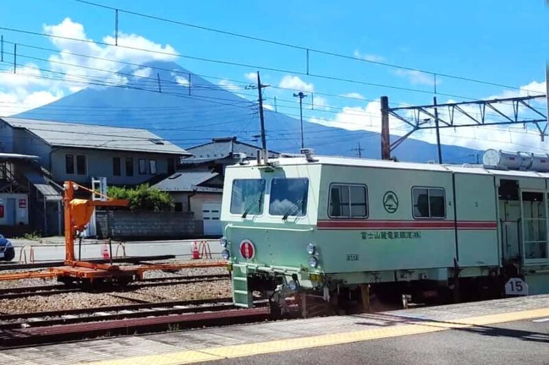 Tokyo: Mt. Fuji,Kawaguchi Lake,Scenic Cruise & Fujikyu Train - Value for Money and Additional Options