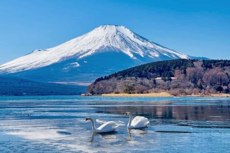 Tokyo: Mt. Fuji,Kawaguchi Lake,Scenic Cruise & Fujikyu Train - The Role of Guides and Group Dynamics