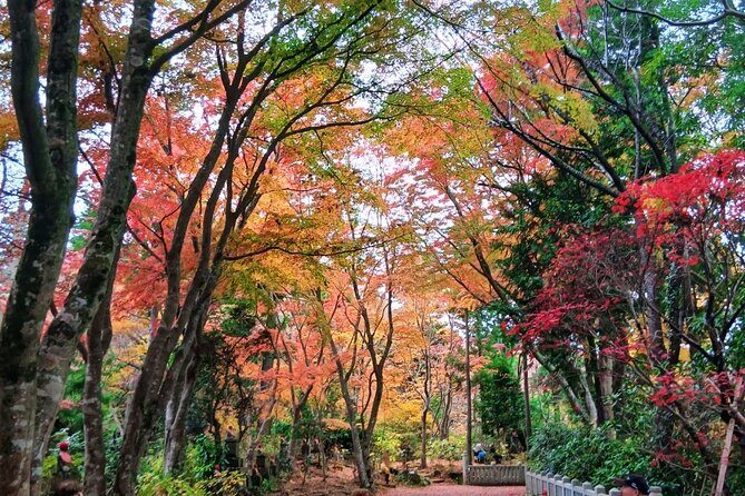 Tokyo: Mt. Takao Tour with Ramen and Tattoo-Okay Hot Spring - A Complete Guide to the Mt. Takao Experience