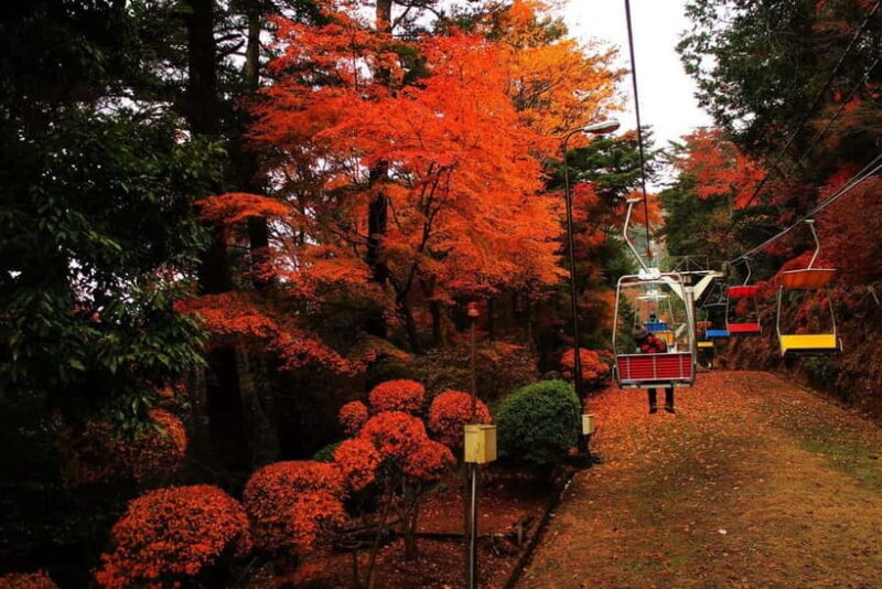 Tokyo: Mt Takao Tour with Ramen and Tattoo-Okay Hot Spring - Key Points