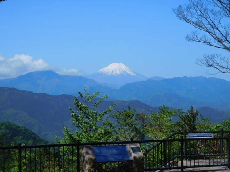 Tokyo: Mt Takao Tour with Ramen and Tattoo-Okay Hot Spring - Monkey Park and Scenic Walks