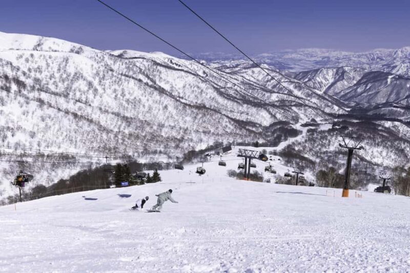 Tokyo: Naeba Ski, Kiyotsu Gorge and Fruit Picking Two Days - Key Points