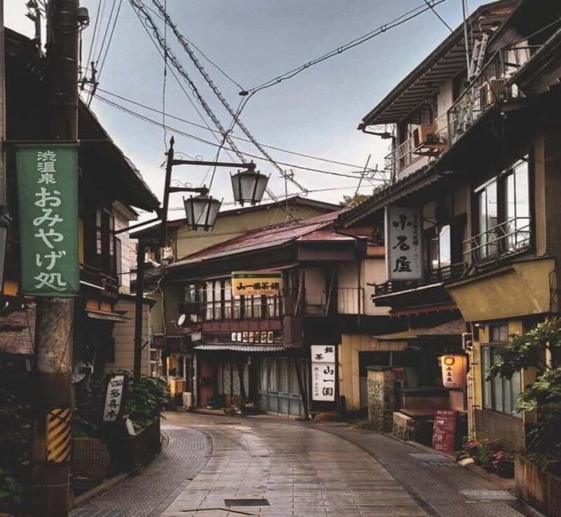 Tokyo: Nagano Private Day Tour with Guide and Transfer - Accessibility and Suitability