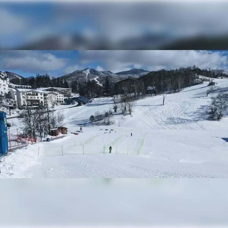 Tokyo: Nagano Private Tour with Igloo Village & snow Monkeys - Why Choose This Nagano Day Trip?