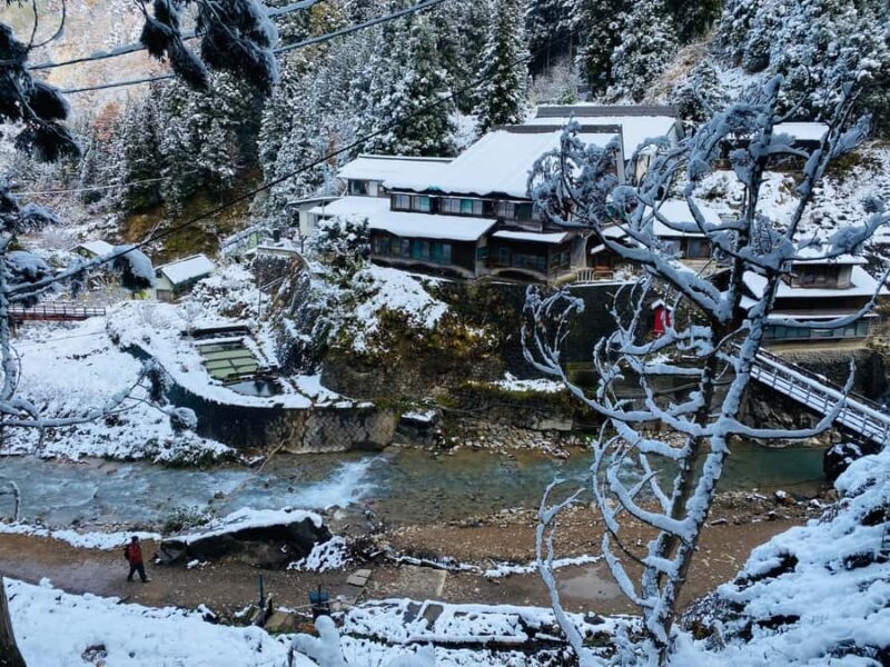 Tokyo/Nagano: private Tour with Snow Monkey Park & Temples - A Closer Look at the Experience