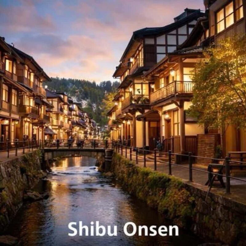 Tokyo & Nagano: Snow Monkey Sightseeing Private Guided Tour - Key Points