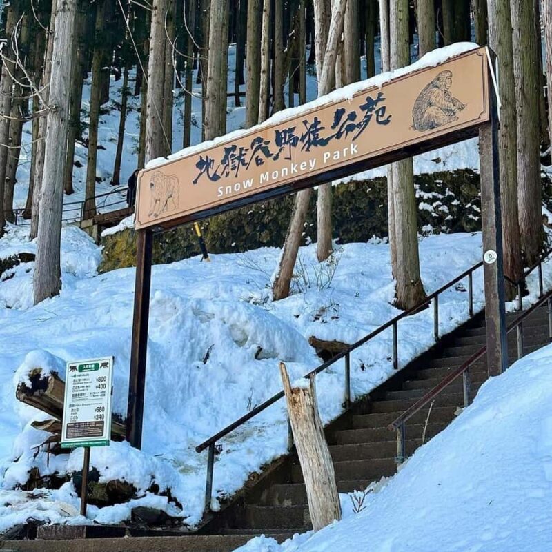 Tokyo & Nagano: Snow Monkey Sightseeing Private Guided Tour - A Deep Dive into the Experience