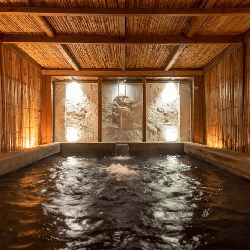 Tokyo Nagano: Snow Monkey & Zenkoji Temple Private Tour - Final Thoughts