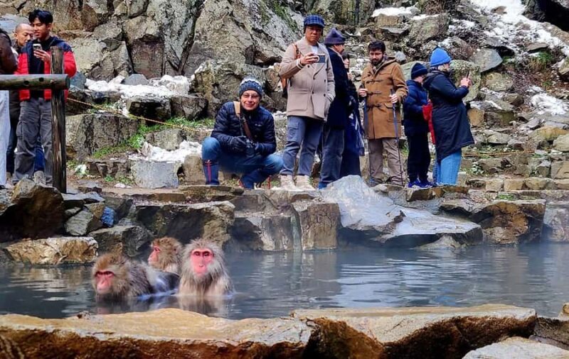 Tokyo: Nagano Snow Monkeys and Zenko-ji Temple Day Trip - FAQ