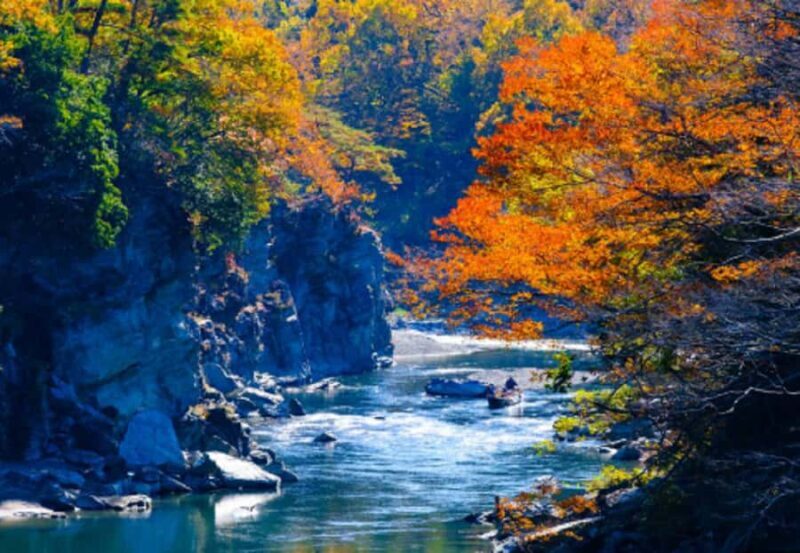 Tokyo: Nagatoro, Mitsumine Shrine & Waterfalls One-Day Tour - An In-Depth Look at the Tour Experience