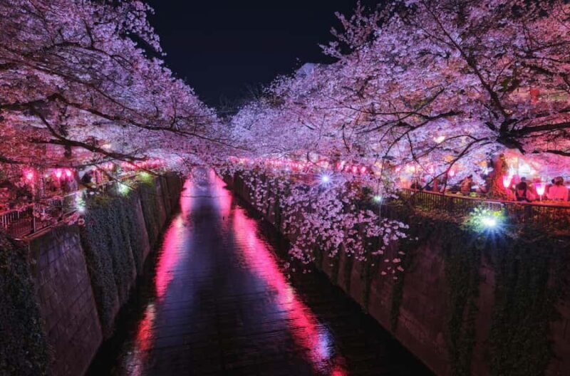 Tokyo: Nakameguro Sakura Riverside Walk with Street Stalls - FAQs