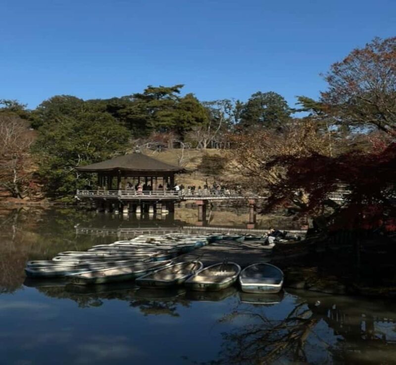 Tokyo: Nara Private Day Tour with English-Speaking Guide - The Practical Side: Logistics, Duration, and Value