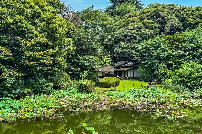 Tokyo National Museum & Ueno Park Private guided tour - An Introduction to the Experience