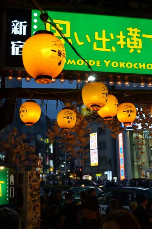 Tokyo Nature Walk: From City Parks to Neon Streets - The Sum Up