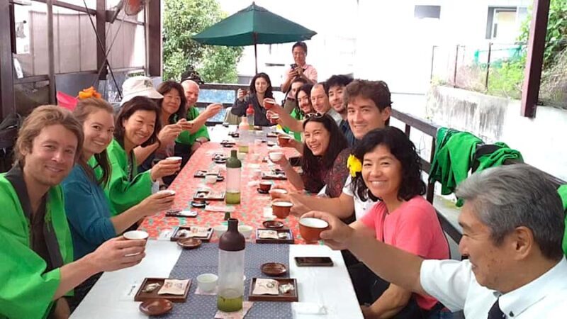 Tokyo: New Views of Mt. Fuji Cherry Blossoms & Tea Picking - Key Points