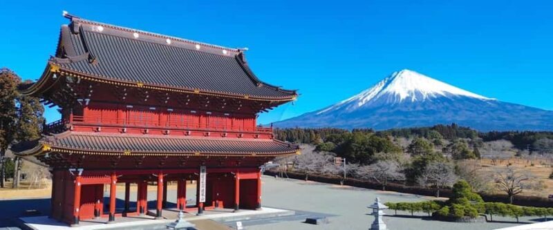 Tokyo: New Views of Mt. Fuji Cherry Blossoms & Tea Picking - Final Words