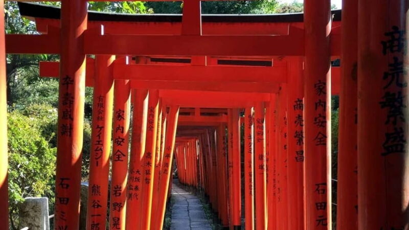 Tokyo: Nezu Shrine Guided Tour with Azalea Festival - Practicalities and What’s Included