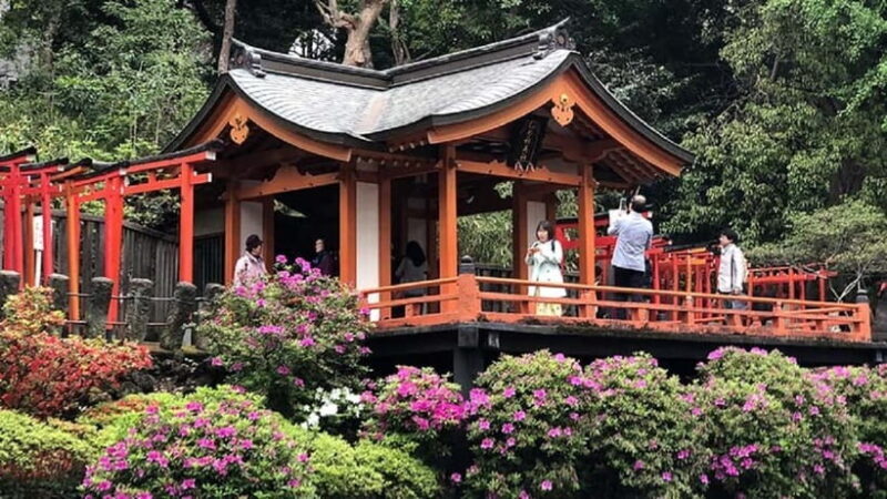 Tokyo: Nezu Shrine Guided Tour with Azalea Festival - Who Will Love This Experience?