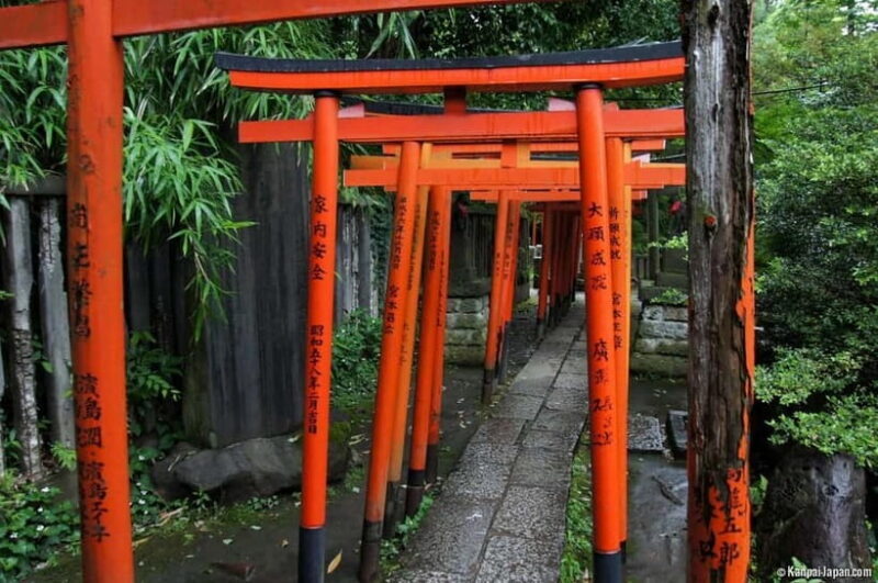 Tokyo: Nezu Shrine Guided Tour with Azalea Festival - Final Thoughts