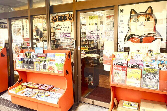 Tokyo Night Cat Tour: Cat Bookstore, Shinjuku Cat Cafe & 3D Cat - What Makes This Tour Stand Out
