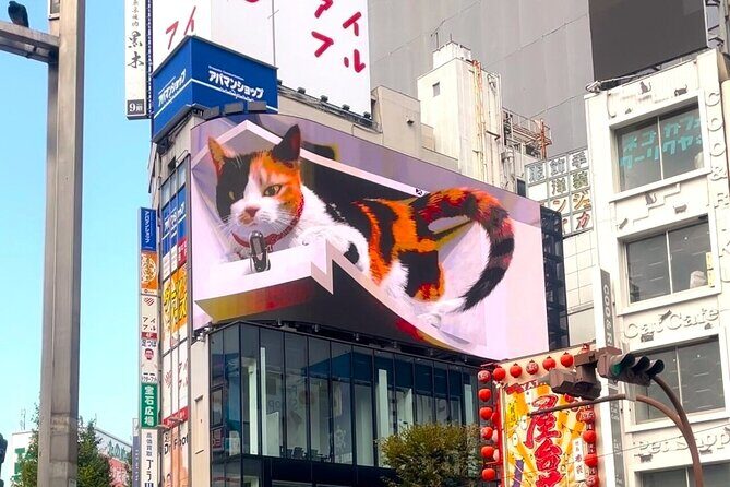 Tokyo Night Cat Tour: Cat Bookstore, Shinjuku Cat Cafe & 3D Cat - Practical Details for Travelers