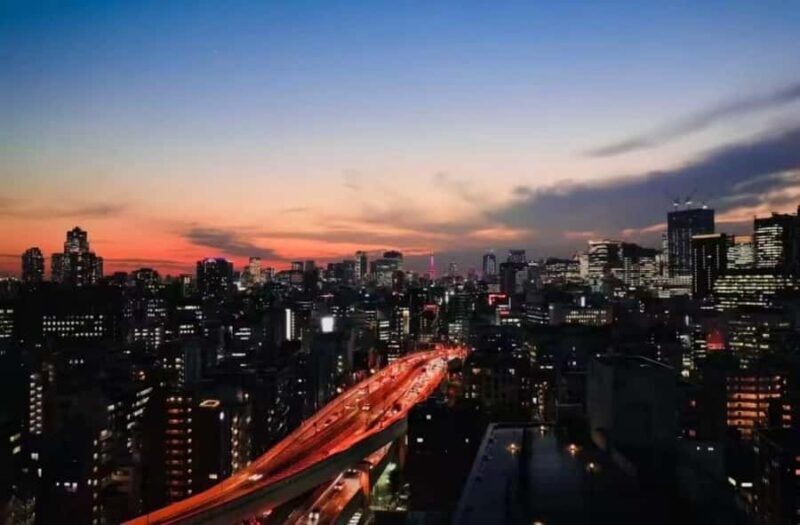 Tokyo: Night Drive to Daikoku PA, Umihotaru & C1 Loop - Final Thoughts: Who Will Love This Tour?