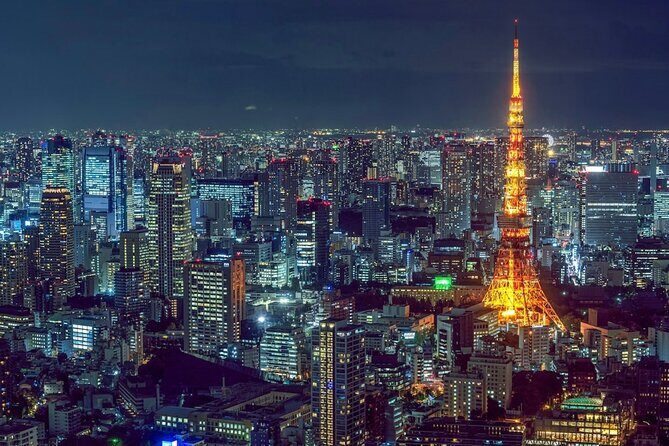 Tokyo Night Drive Wangan Expressway and Daikoku PA - Practical Details & Considerations