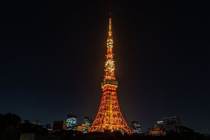 Tokyo Night E-Bike Tour with Tokyo Tower and Dolphin Show - FAQ Section