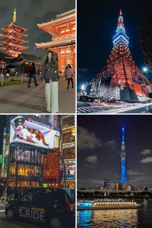 Tokyo Night Private Tour With English Speaking Driver - Why Choose a Private Night Tour in Tokyo?